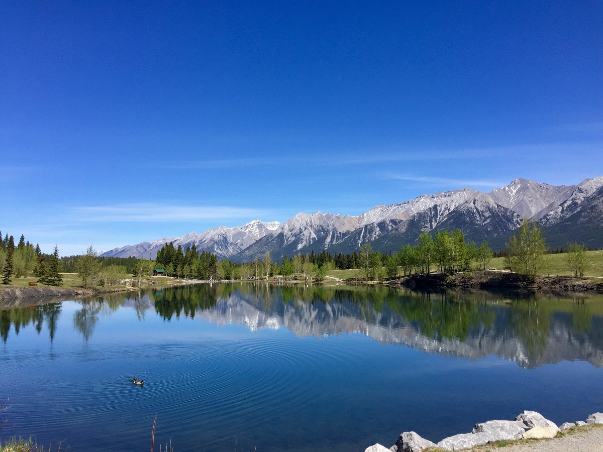 Why Bear Lake is the Perfect Destination for Your Family Retreat ...